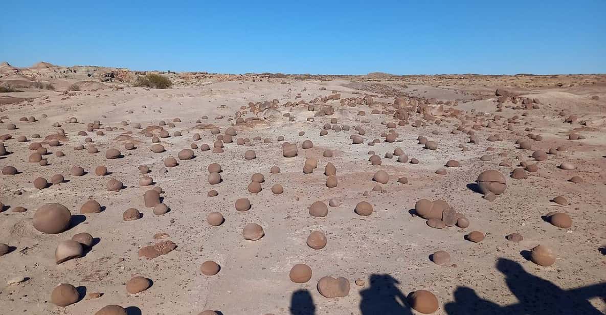 San Juan: Park Ischigualasto Údolí Měsíce Tour | GetYourGuide