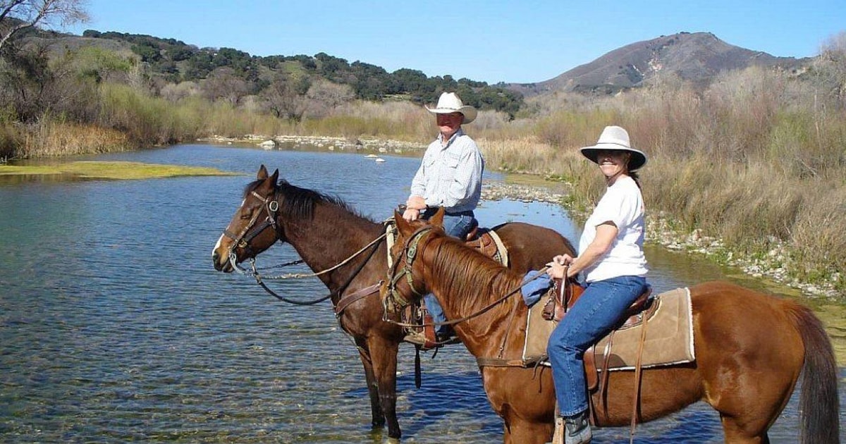 Santa Barbara: Scenic Canyon Horseback Riding Tour | GetYourGuide