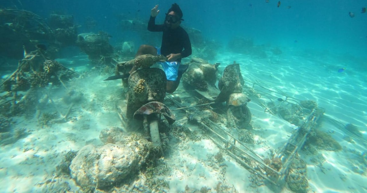 Gili Island Tour : Gili Trawangan, Meno & Air | GetYourGuide