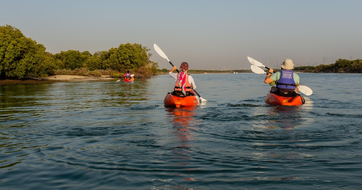 Abu Dhabi: Mangrove Kayaking Tour | GetYourGuide