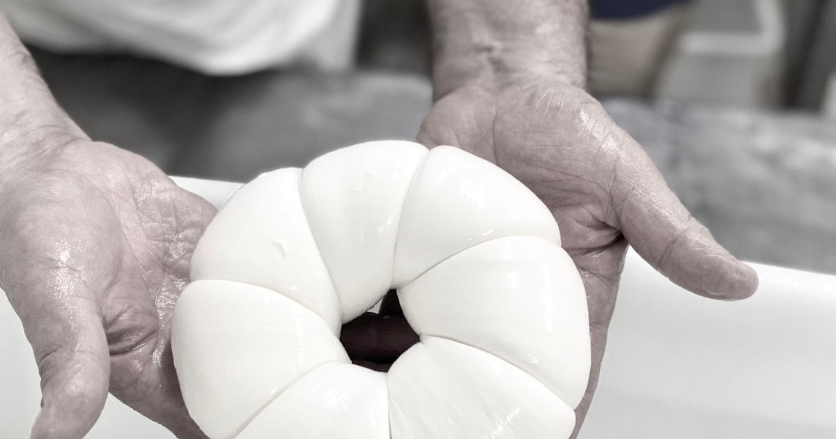 Mozzarella making Experience...live it, discover it, taste it! | GetYourGuide