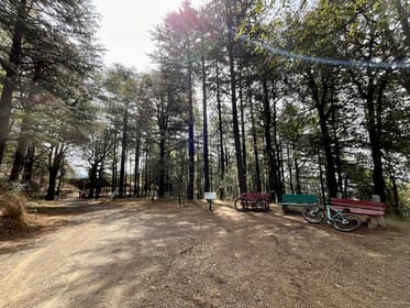 Shimla: Wildlife Sanctuary & Water Catchment Guided Tour | GetYourGuide