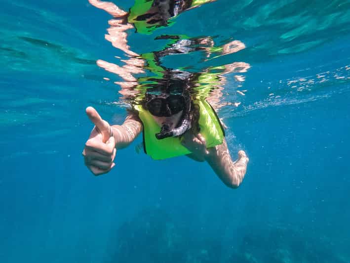 Desde Punta Cana: Excursión de snorkel a la Isla Catalina | GetYourGuide