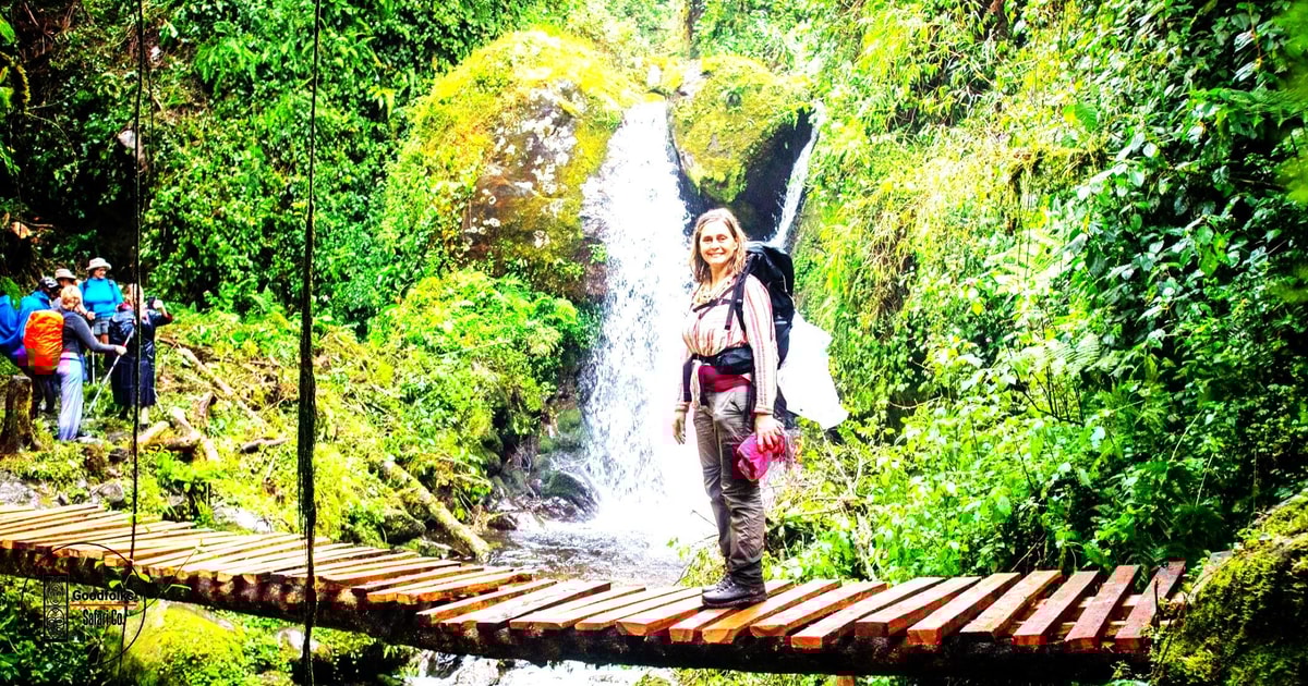 UGANDA RWENZORI — WATERFALLS & MONTANE ALLURE | 6-Day Hike | GetYourGuide