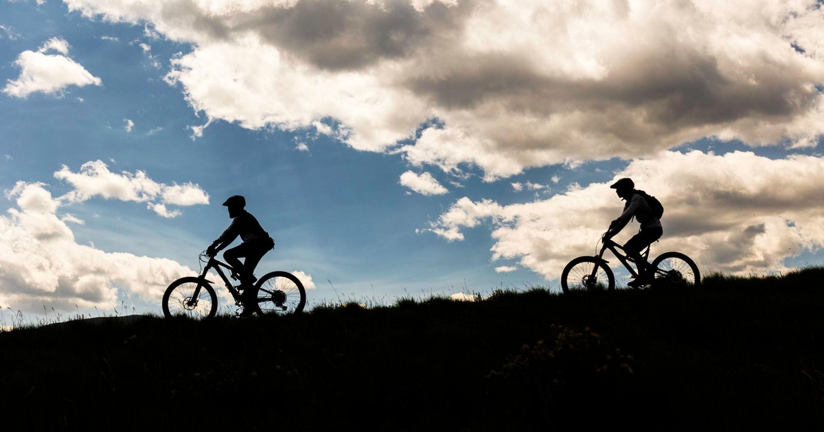 Colorado: Shuttled Mountain Bike Ride on Peaks Trail | GetYourGuide