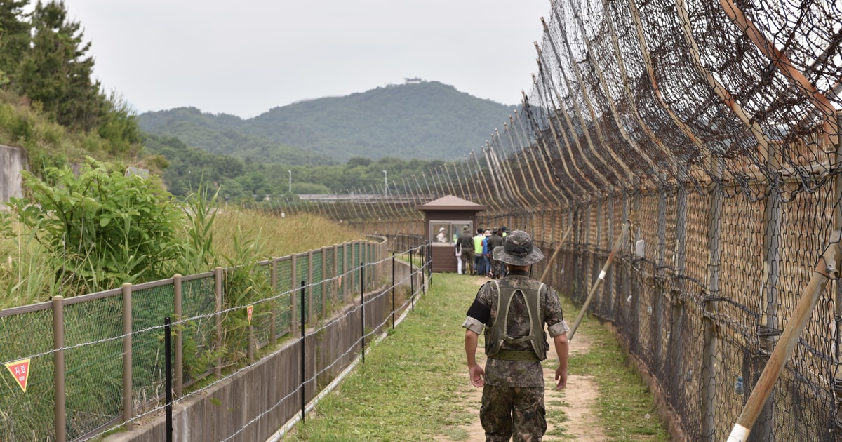 Fra Seoul: Cheorwon DMZ, observatoriet, dagstur i 2. tunnel | GetYourGuide