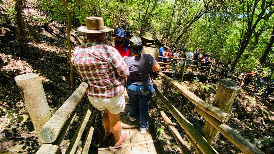 Monterrey: Aventura Safari en el Bioparque Estrella | GetYourGuide