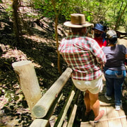 Monterrey: Aventura Safari en el Bioparque Estrella | GetYourGuide