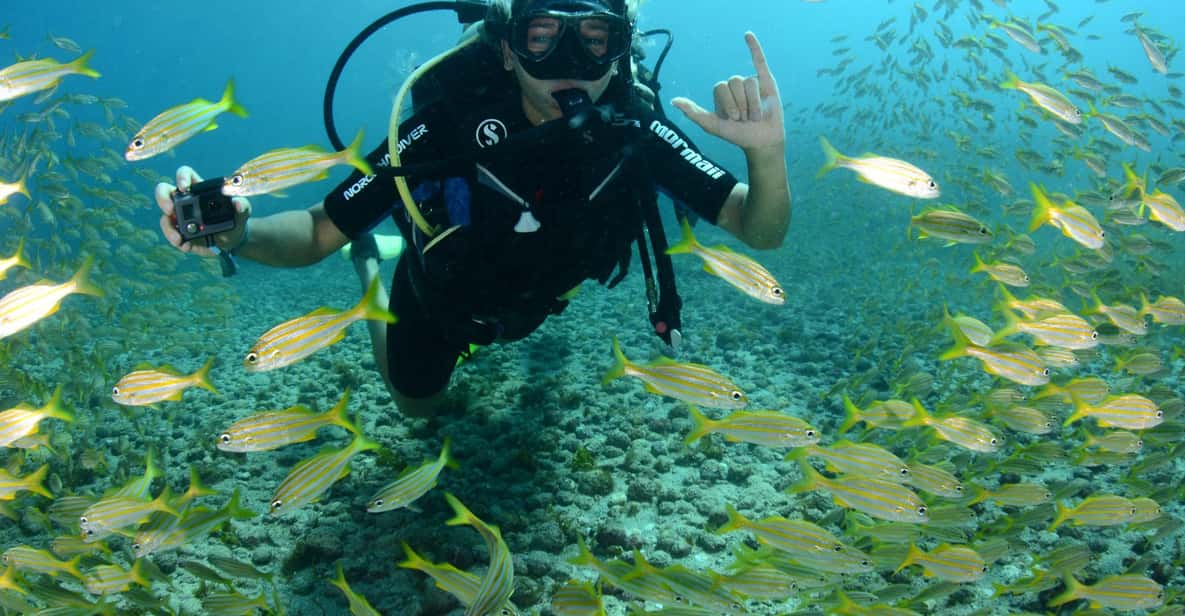 Florianópolis: Scuba Diving with Round Trip Transportation | GetYourGuide