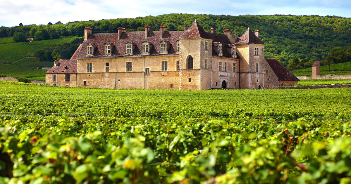 From Dijon: Côte de Nuits & Côte de Beaune Vineyards Tour | GetYourGuide