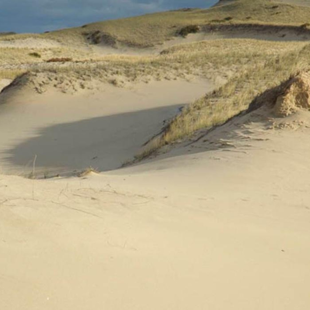 Provincetown: Cape Cod National Seashore Park Dune Tour | GetYourGuide