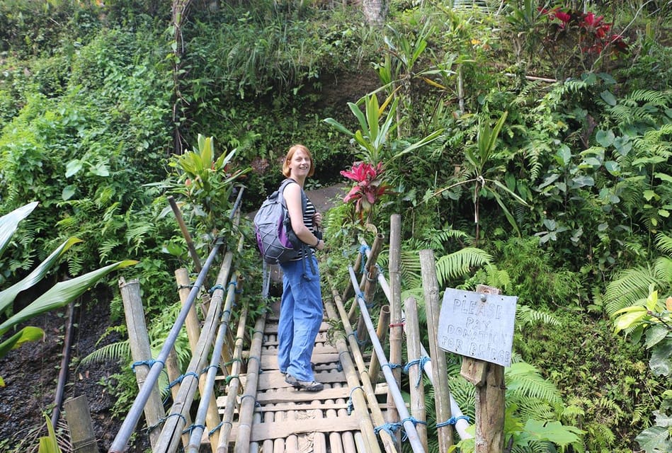 Bali Volcano: including Ubud Culture, Waterfall, Rice Fields | GetYourGuide
