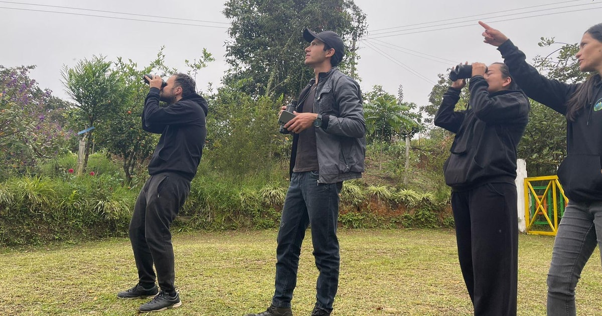 Active Bird-Watching Tour | GetYourGuide