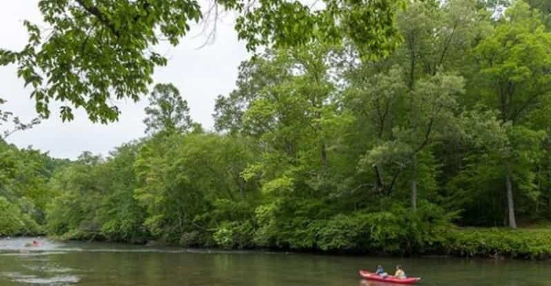 Half Day Kayak Adventure for single person | GetYourGuide