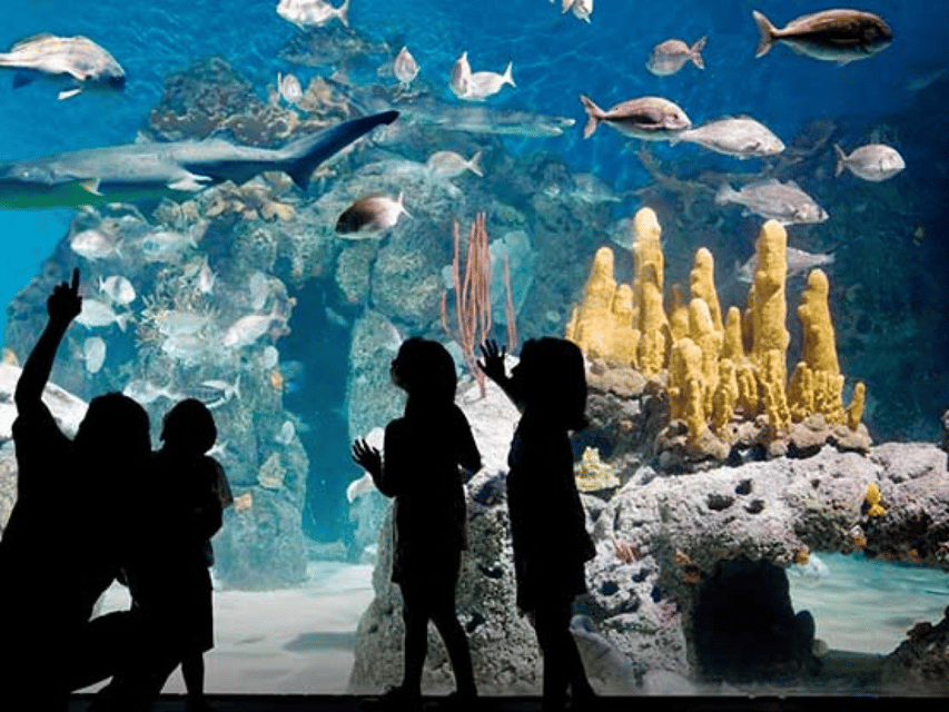 Ingressos oficiais para o Temaiken BioPark | GetYourGuide