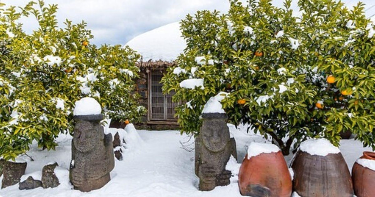 Jeju: Eastern UNESCO Sites Tour with Haenyeo Show | GetYourGuide