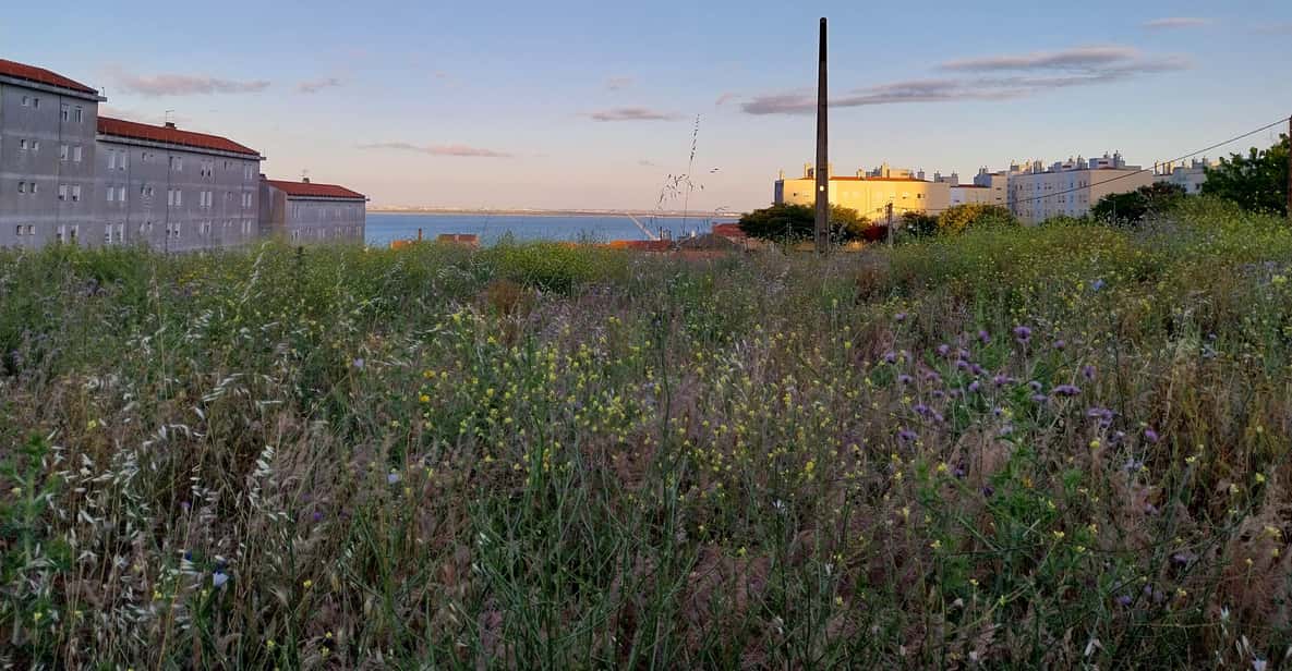 Marvila - StreetArt neighbourhood tour | GetYourGuide