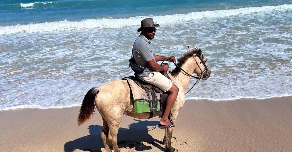Punta Cana hobuse seljas: giidiga ekskursioon koos transpordiga ...