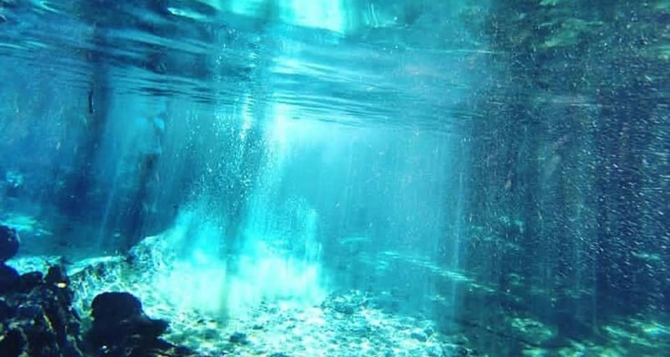 Chemka or Kikuletwa Hot Springs | GetYourGuide