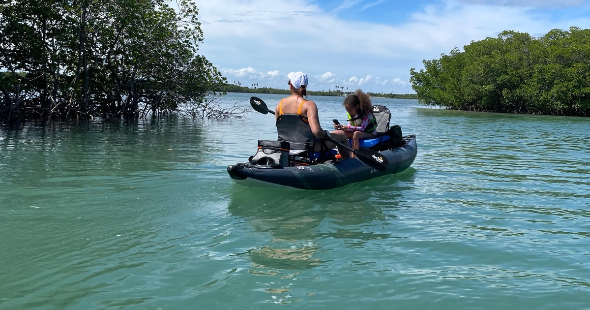 Fort Pierce: 6-timmars Mangroves, kust floder och vilda djur i FL ...