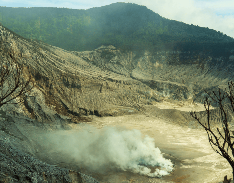 Jakarta: Tangkuban Perahu Volcano & Tea Plantations Day-Tour | GetYourGuide