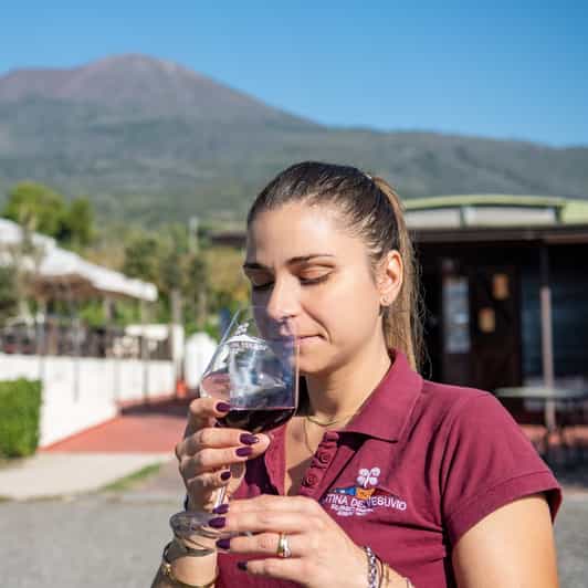 Group Tour Vesuvian Treasures: Pompeii, Herculaneum, Wine | GetYourGuide