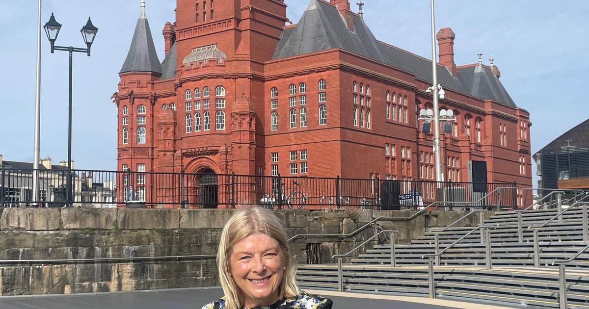 Cardiff City and the Bay, walking tour, small group | GetYourGuide