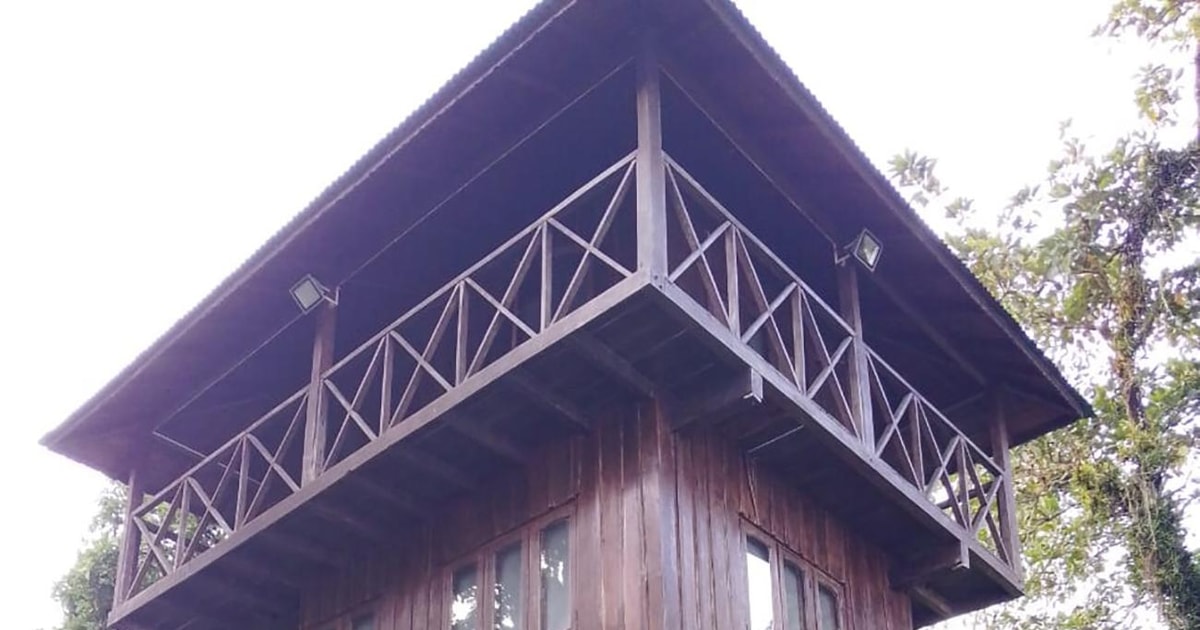 2-Night Treehouse Tower Night Stay in Chitwan National park | GetYourGuide