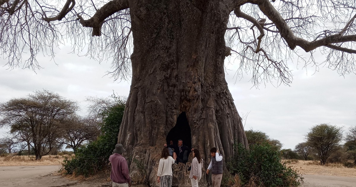 Travel with Purpose to creates unforgettable memory | GetYourGuide