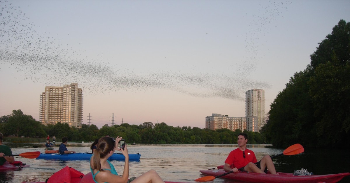 Austin: Guided Bat-Watching Kayak Tour | GetYourGuide