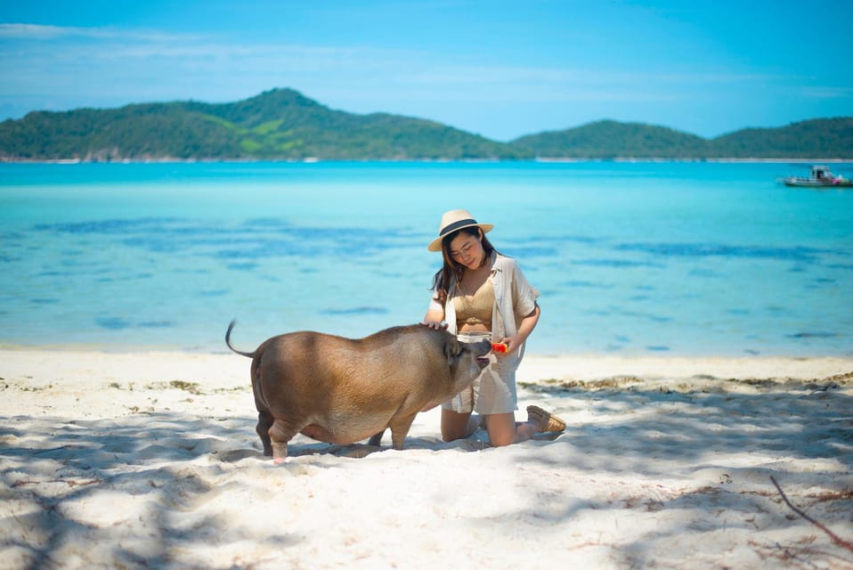Koh Samui: Private Longtail Tour to Koh Mat Sum (Pig Island) | GetYourGuide