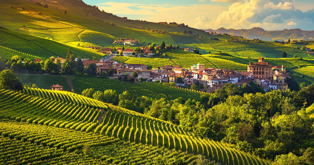 From Milan: Barolo Wine Tasting, Alba Tour and Castle Visit | GetYourGuide