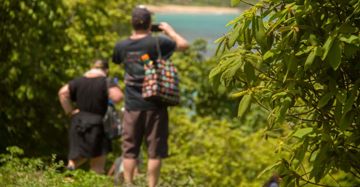 El Rincon Bay: The 7 Hidden Beaches in Samaná Peninsula | GetYourGuide