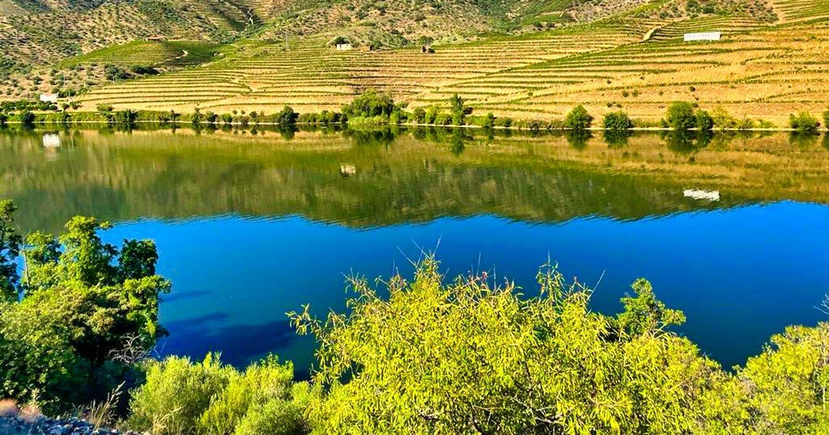 Oporto: Visita a las Bodegas del Valle del Duero con almuerzo y crucero ...