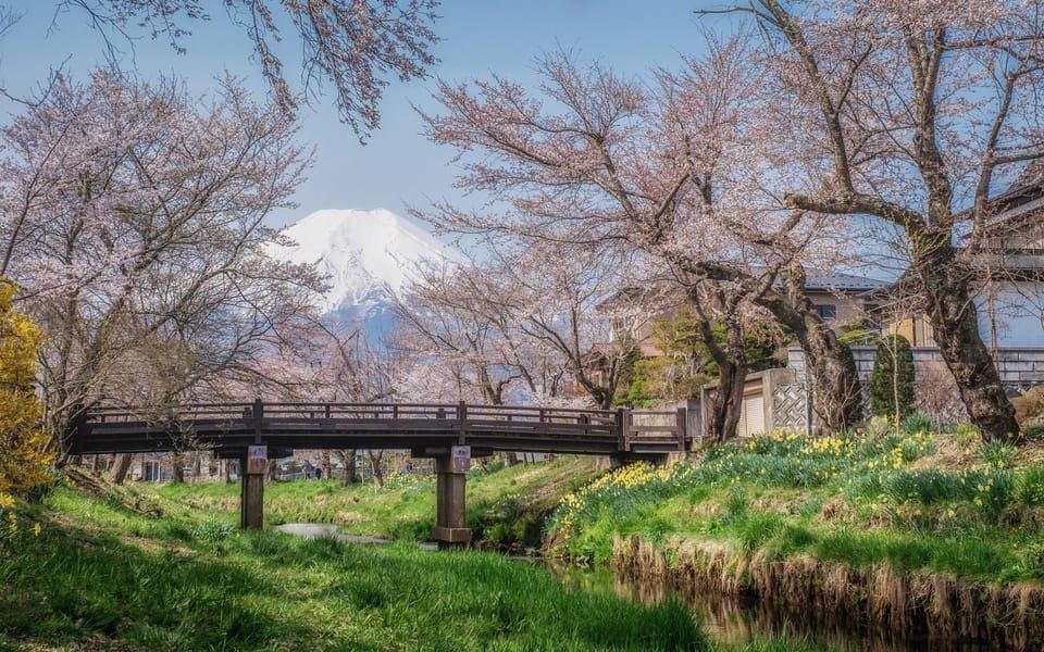From Tokyo to Mt. Fuji: Oshino Hakkai & Hot Spring Trip | GetYourGuide