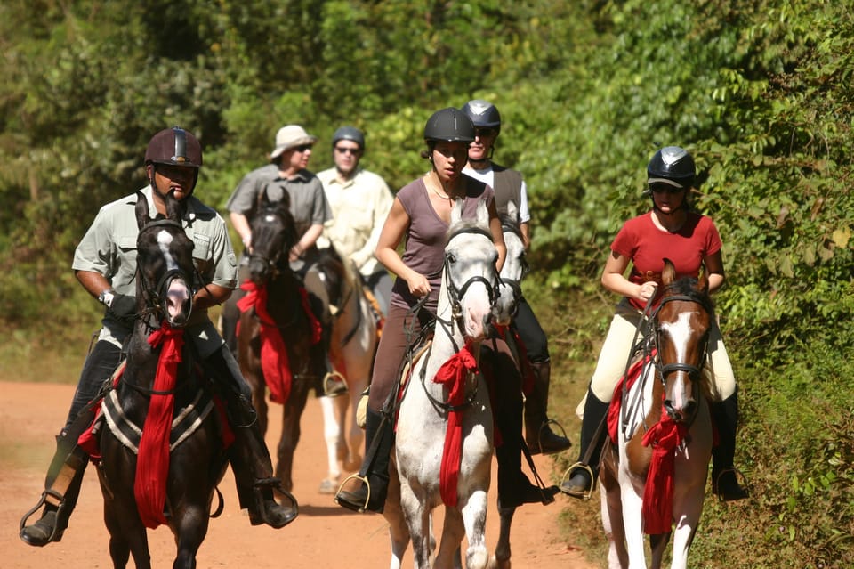 Horse Riding in Nuwara Eliya | GetYourGuide