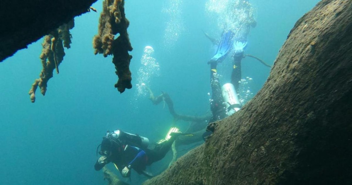 Bariloche: Battesimo subacqueo nel Lago Moreno | GetYourGuide