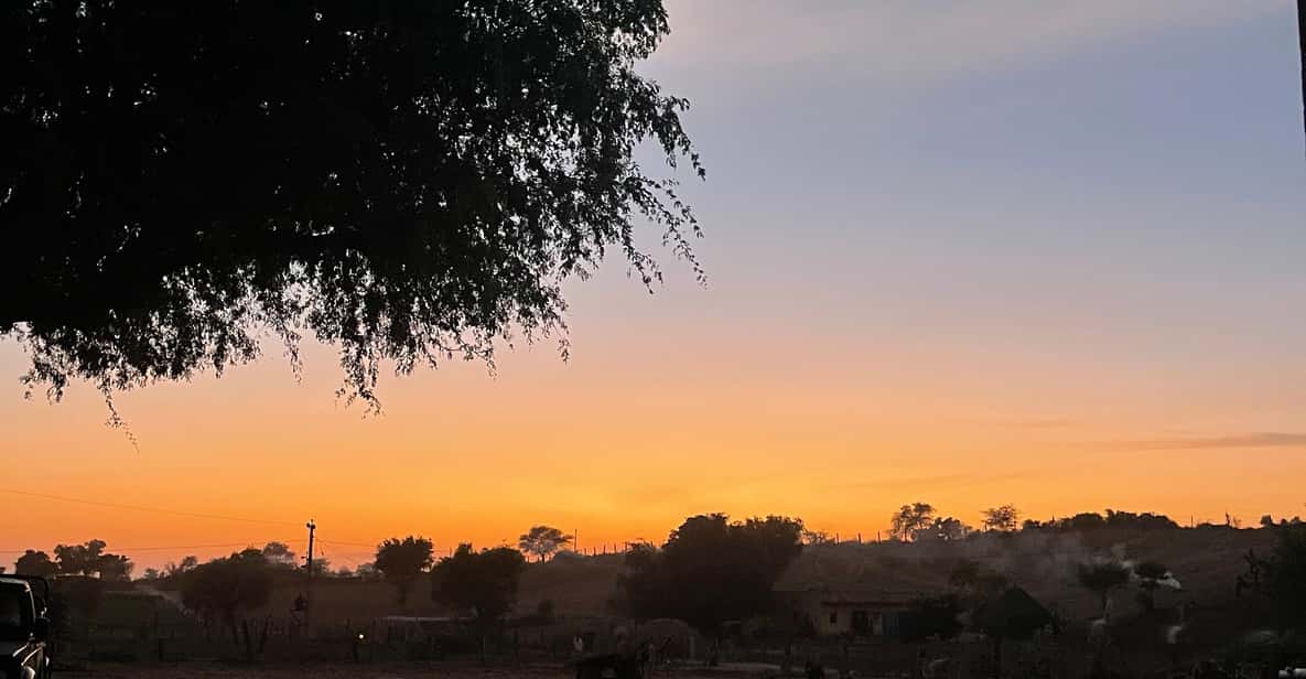 Osian Desert Safari Camel ride | GetYourGuide