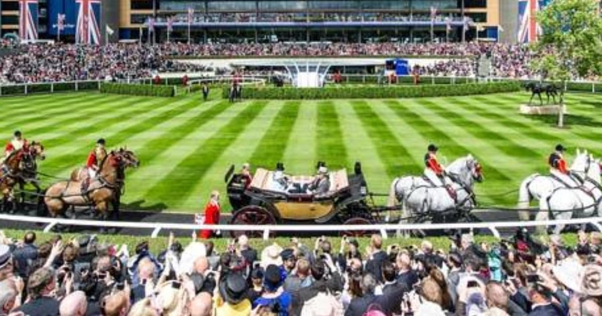 Ascot, Slough, Windsor'dan Londra'ya özel gidiş-dönüş ulaşım | GetYourGuide