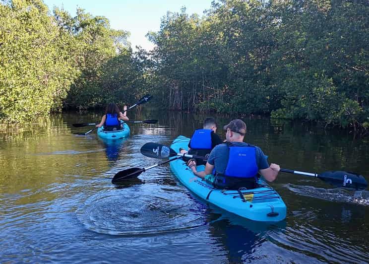 Merritt Island: Guided Kayak Eco-Tour Experience | GetYourGuide