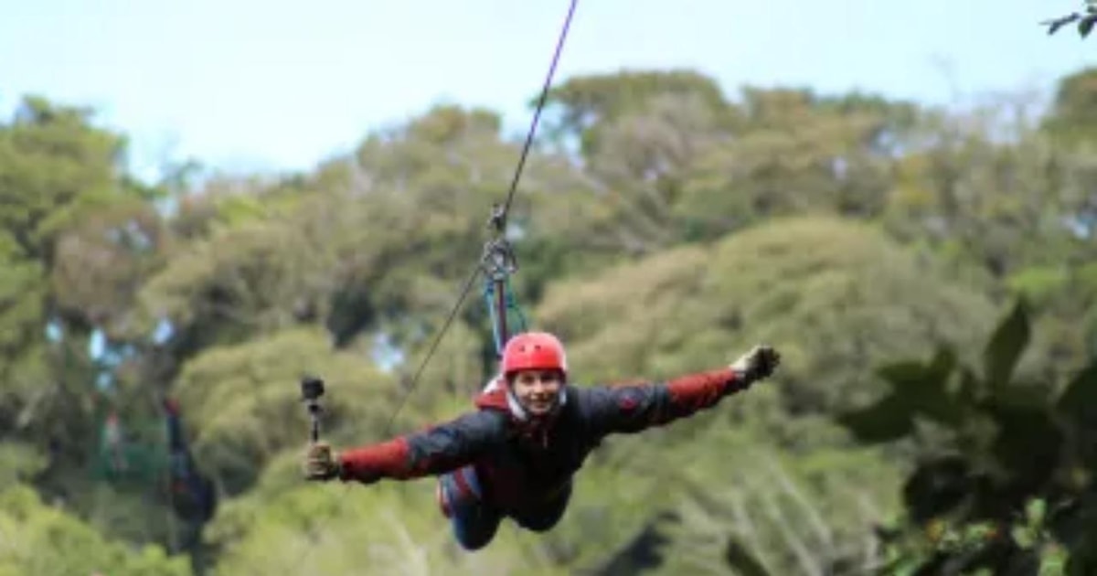Monteverde: Thrilling Zip Line Canopy Tour | GetYourGuide