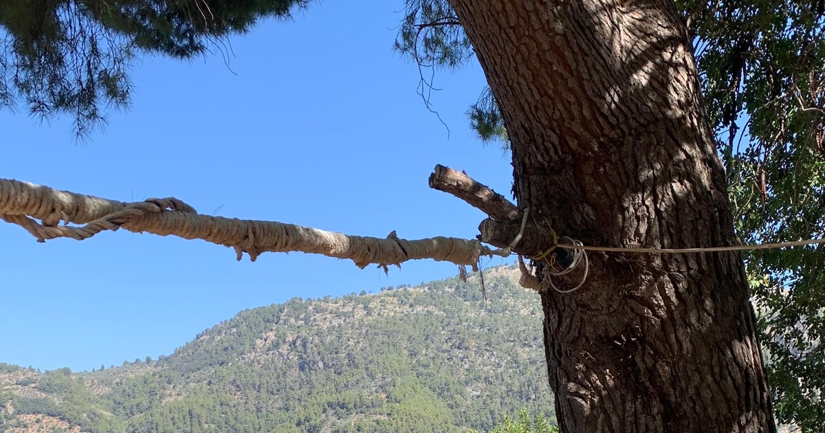 Fornalutx - hiking in the most beautiful valley in Mallorca | GetYourGuide