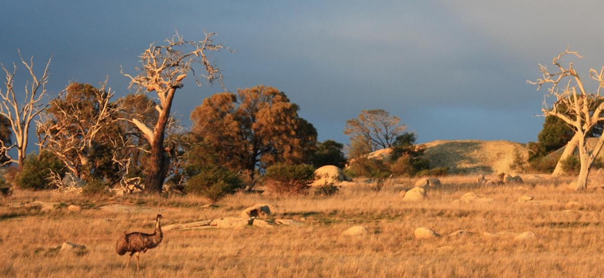 Melbourne Environmental Impact Day Trip | GetYourGuide