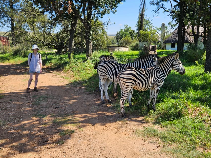Hike in a Wildlife Reserve with Wild Animals (no predators) | GetYourGuide