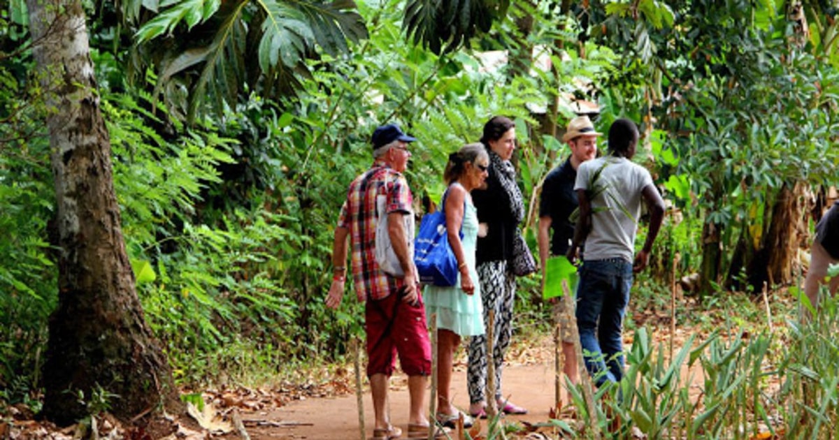 Zanzibar: Jozani forest tour & Spice farm tour with lunch | GetYourGuide