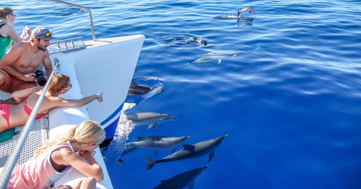 Funchal: Hop-on Hop-off buss och val- och delfinbåt utflykt | GetYourGuide