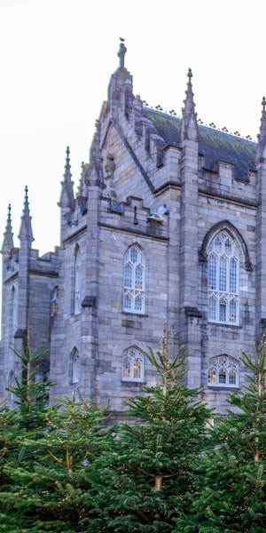 Dublin: Book of Kells, Dublin Castle and Christ Church Tour | GetYourGuide