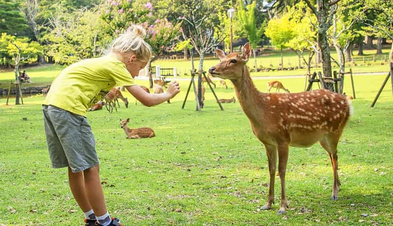 From Osaka: Nara, Uji Matcha Experience and Hot Spring Tour | GetYourGuide