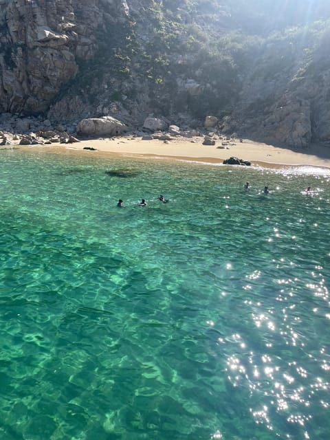 Underwater Exploration Tour & Ocean Sighting Tour | GetYourGuide