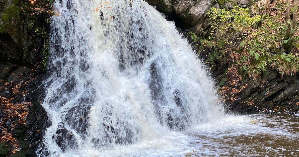 Inverness: Half-Day Hidden Highlands Tour | GetYourGuide